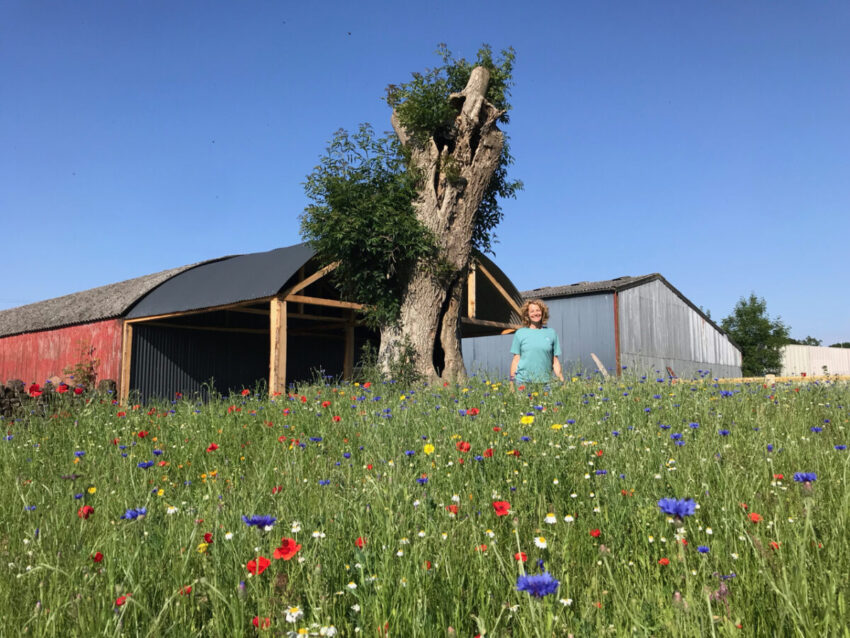 Escape to the Farm - Kate Humble